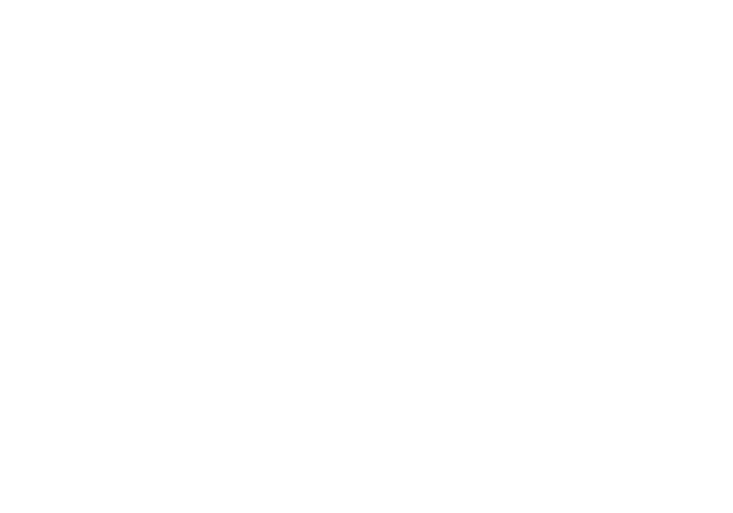 VIsion — Brinker Harding for Congress