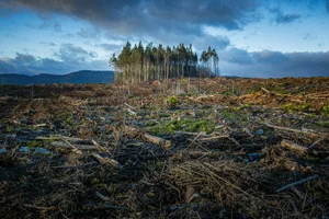 Designing for a Changing Climate: How ASCE 7-22 Updates Affect Load ...