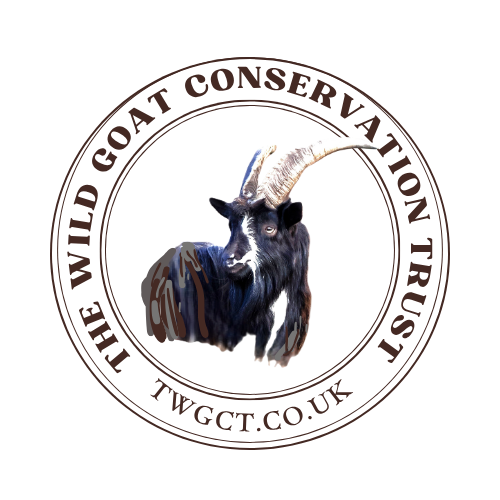 Nature Reserve announce that they are to start culling goats — The Wild ...