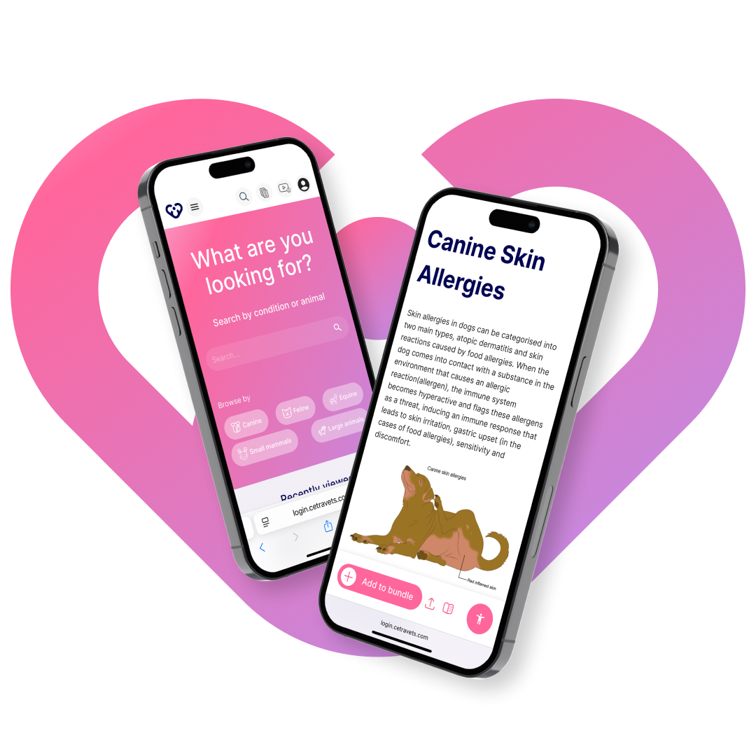 FREE Veterinary Client Education Handouts, Diagrams, 3D Models