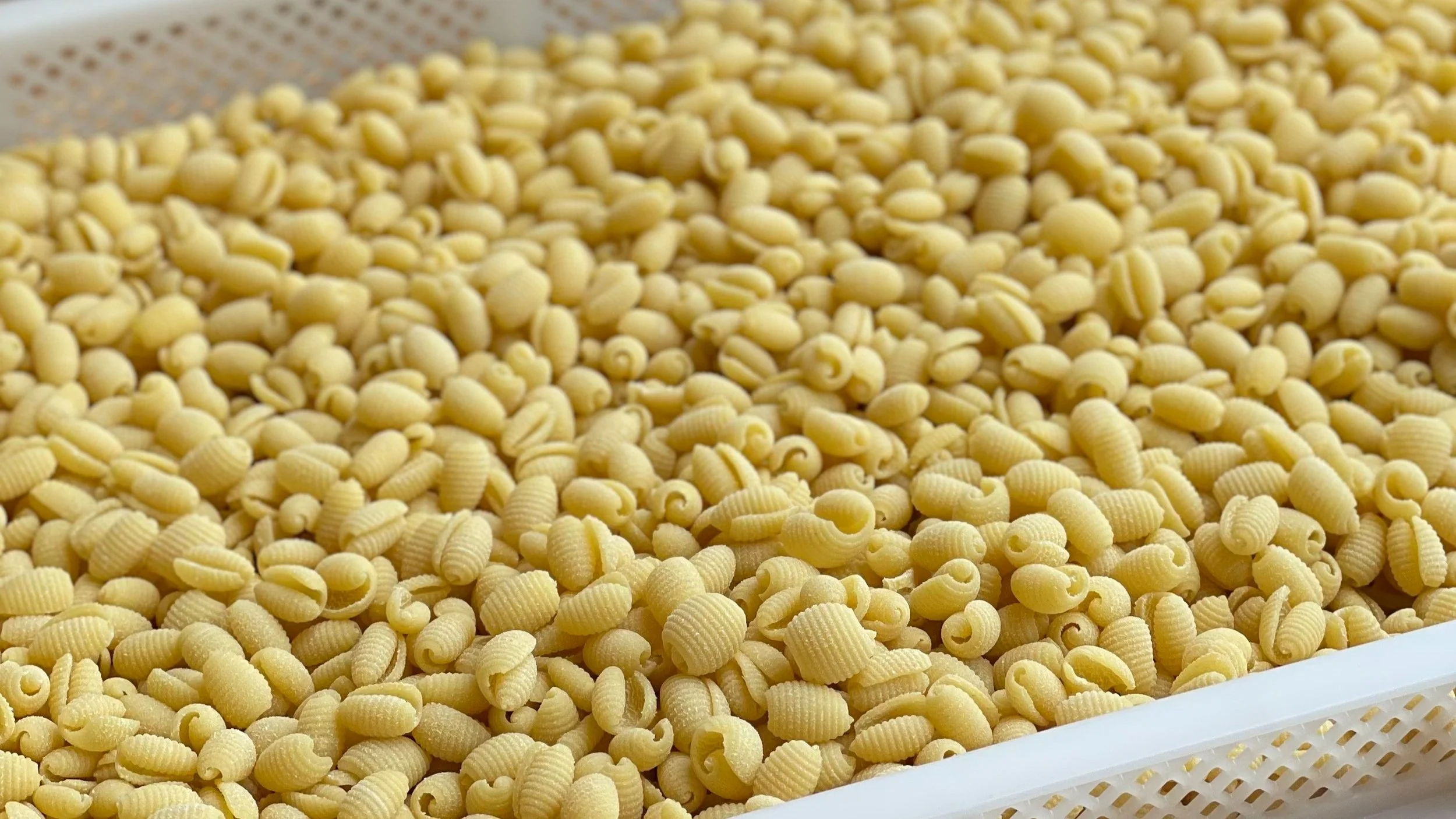 Menu — Liliana | Modern Italian Pasta Bar in Woodbury | Book Now