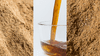 North American Coalition for Insect Agriculture | Discover Sustainable ...