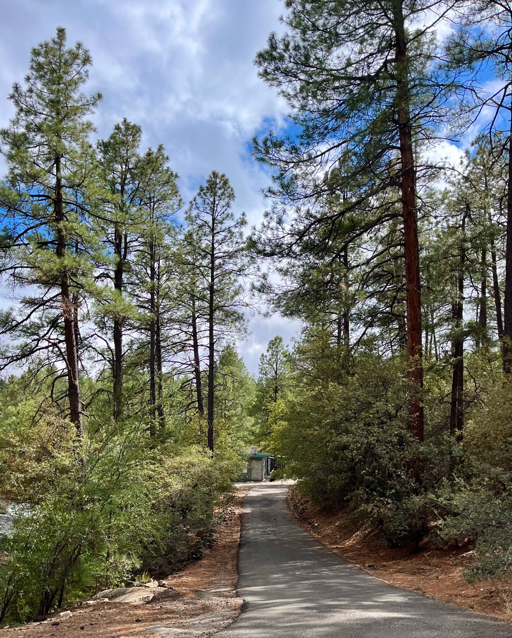Prescott Pines Mobile Home Resort | Discover & Thrive – Join Today