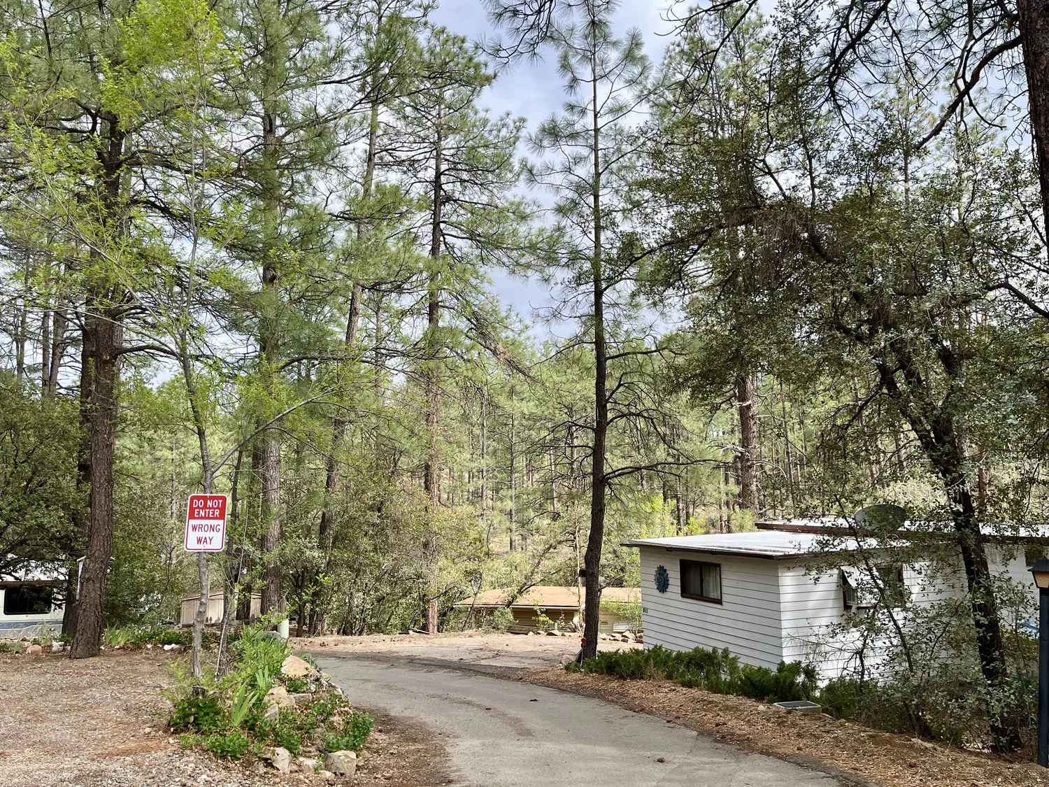 Prescott Pines Mobile Home Resort | Discover & Thrive – Join Today