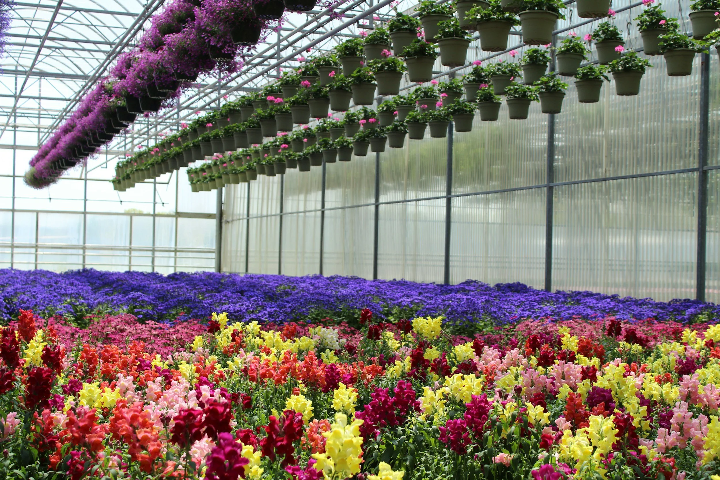 Next G3n Greenhouse | Purpose-Built Greenhouse Structures and Solutions
