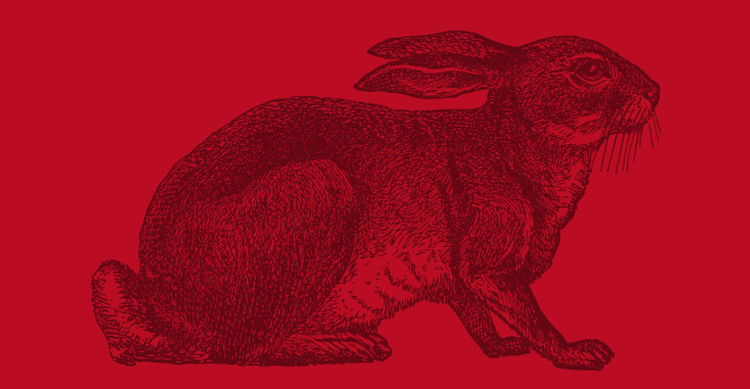 The Essential Haiku: Basho, Buson, Issa - Robert Hass — Morrigan & Co.