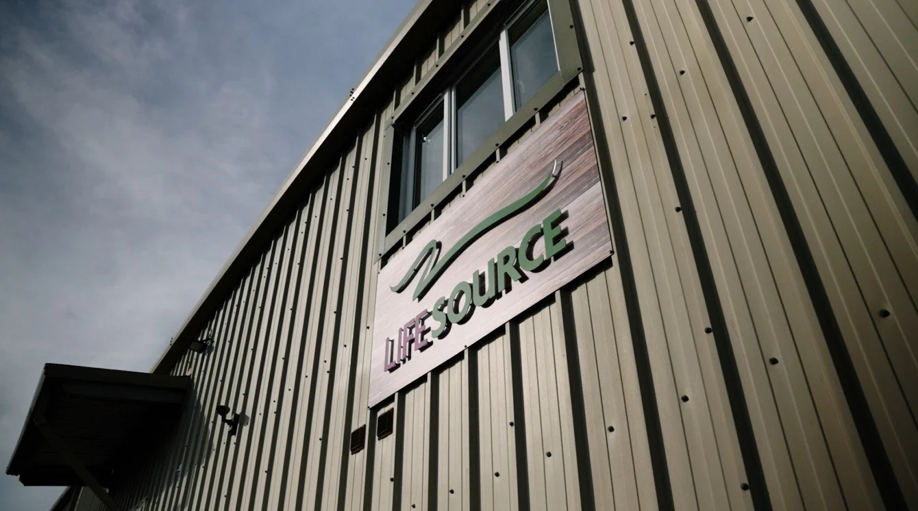 Lifesource Supplements
