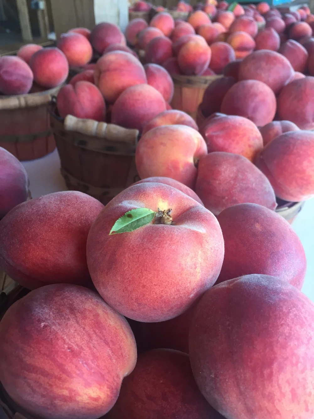 Studebaker Farm | Visit for Fresh Peaches!