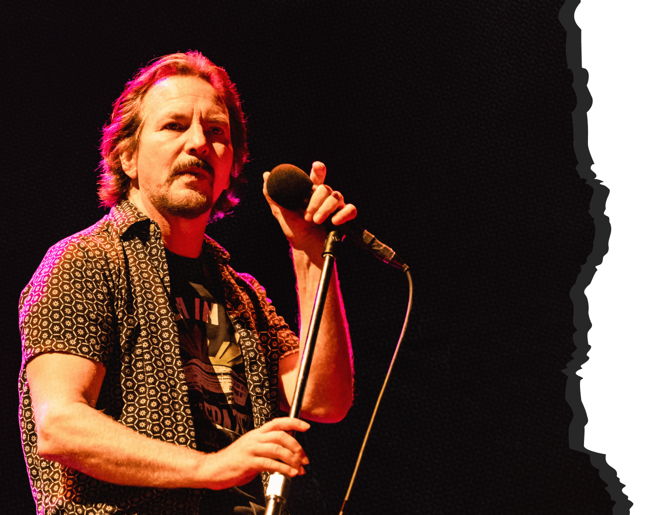 Festivals — Danny Wimmer Presents