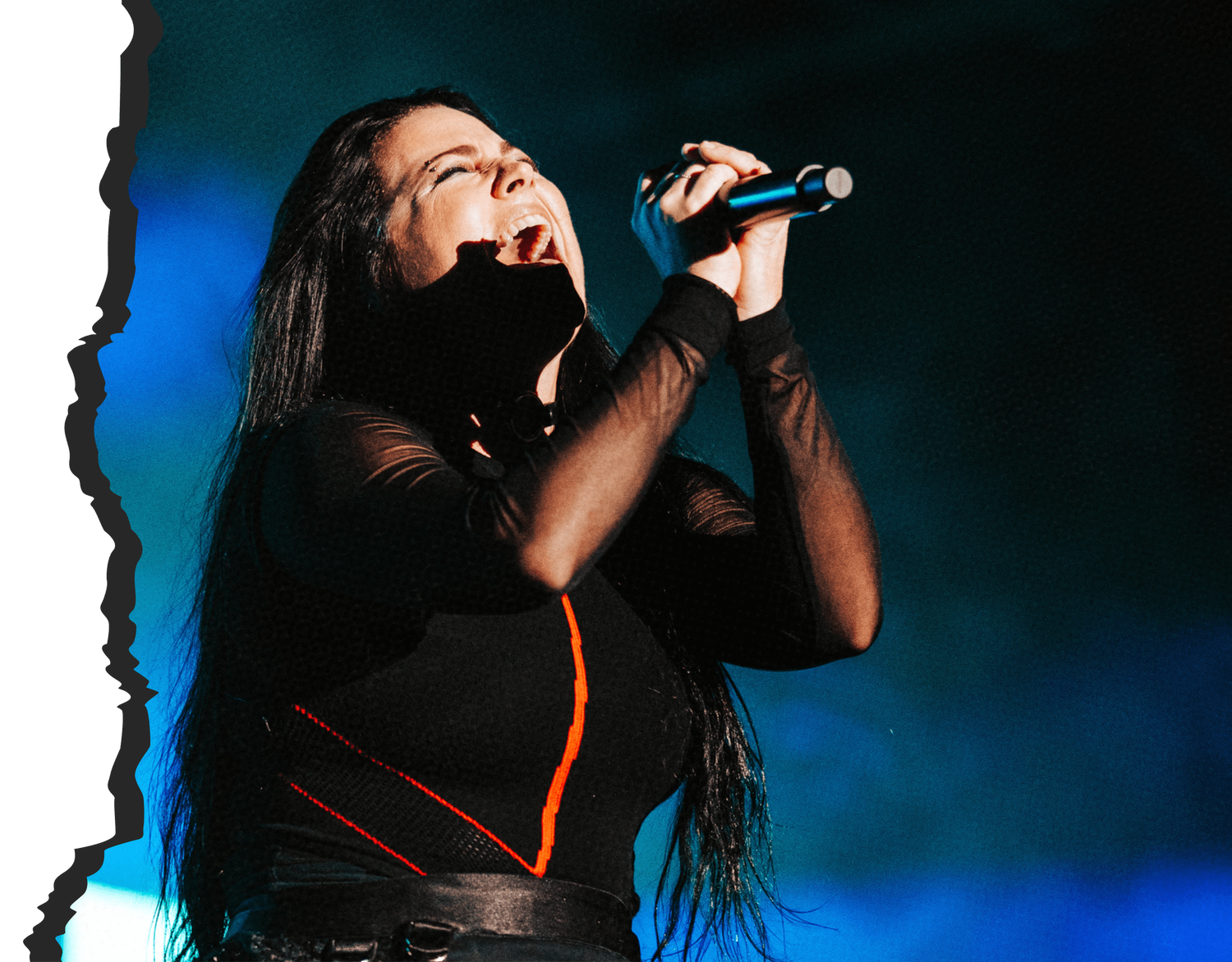 Festivals — Danny Wimmer Presents