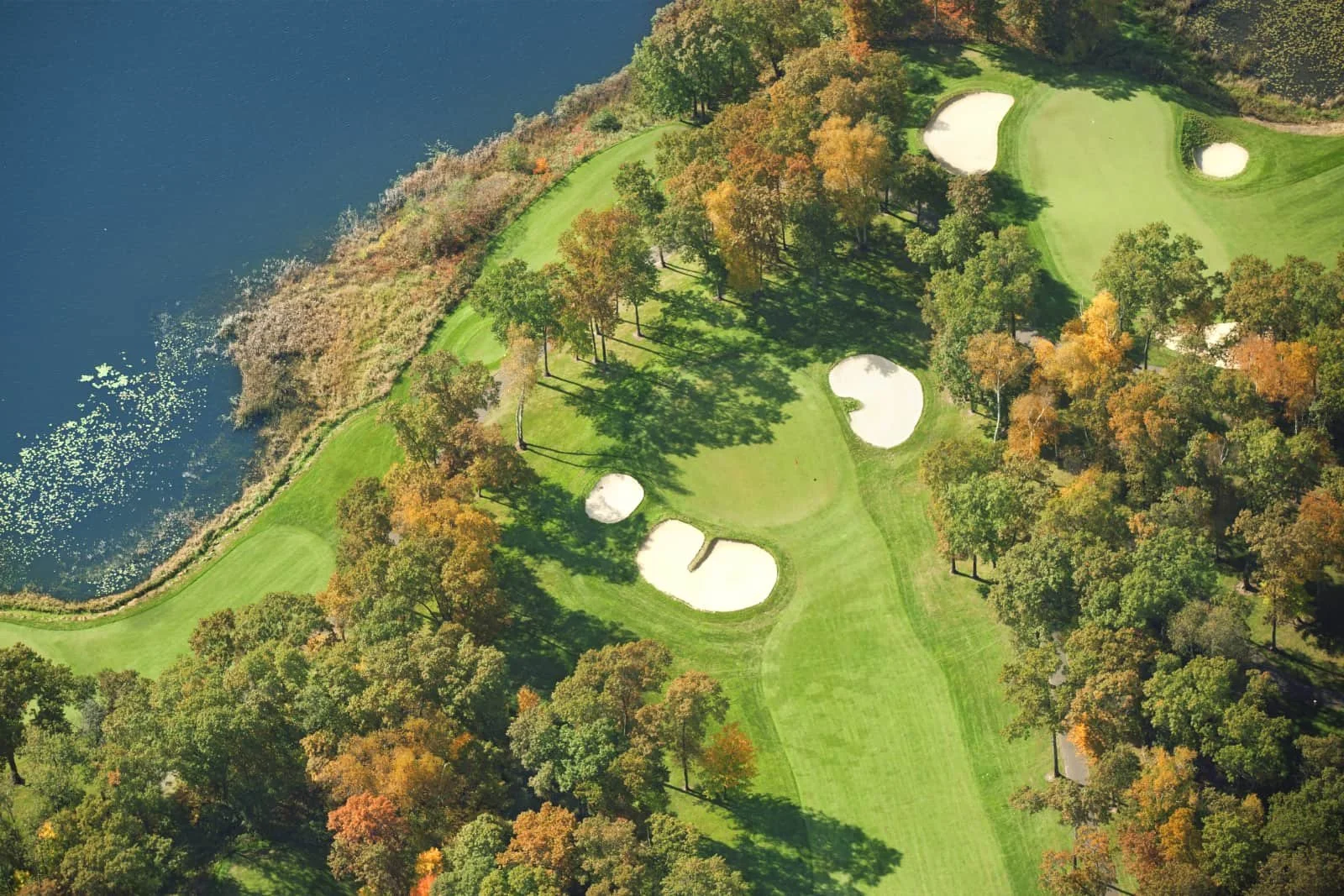 TurfTroniq N.A. | Enhance Turf Efficiency Today