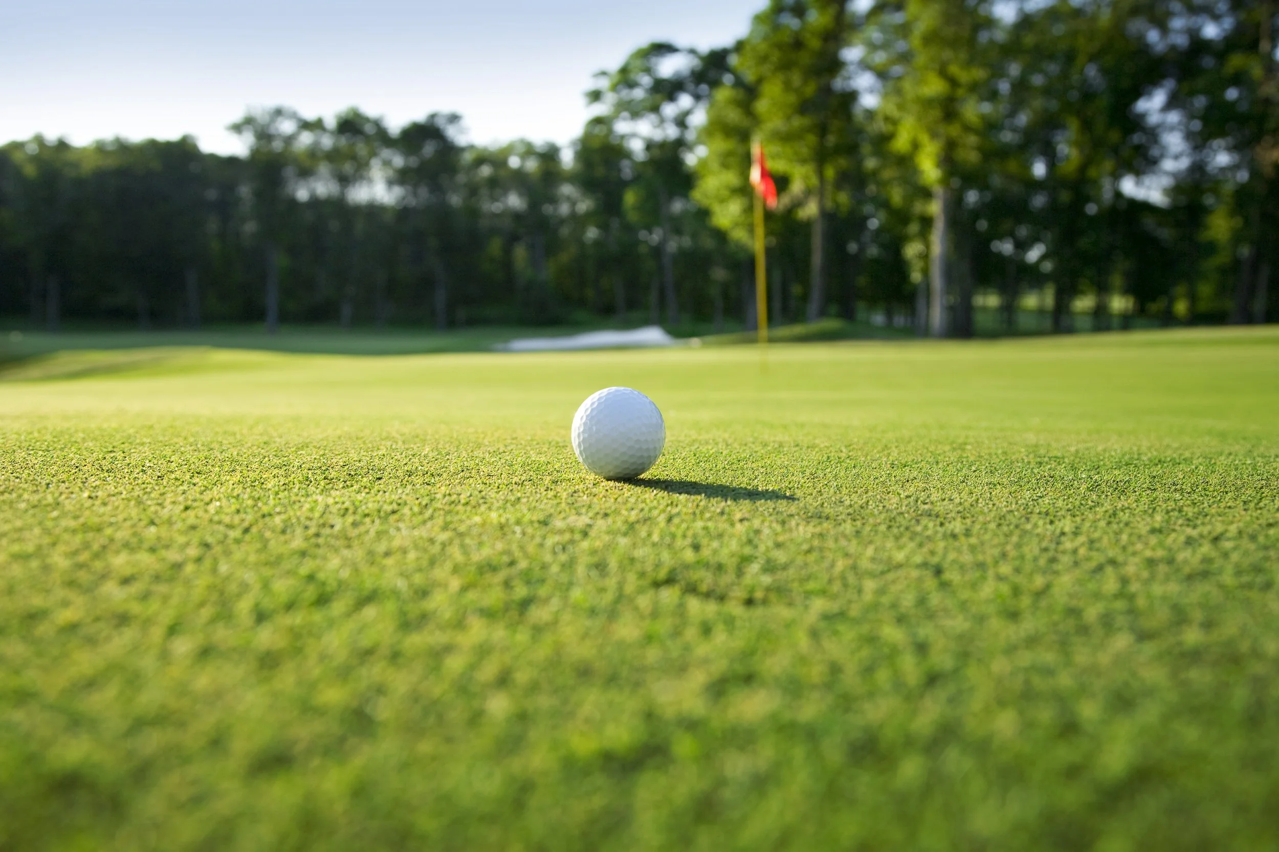 TurfTroniq N.A. | Enhance Turf Efficiency Today