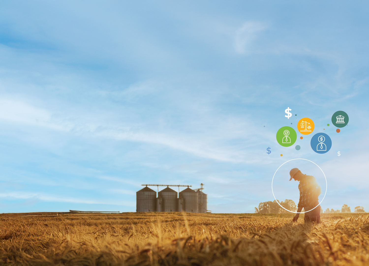 Tilley. How farms grow money.