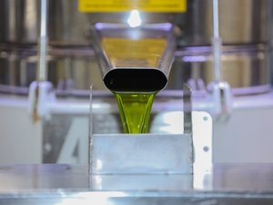 Avocado Oil Manufacturers Association (AOMA) | Global Standards ...