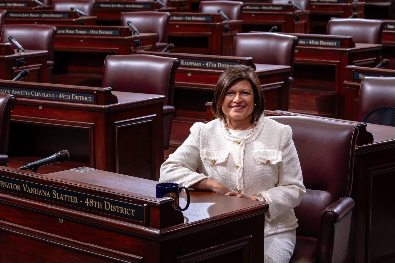 Vandana Slatter for State Senator