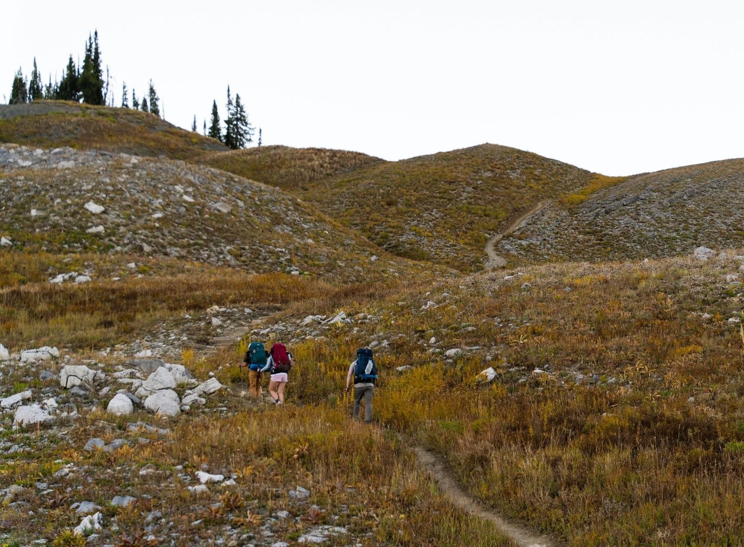 National Parks on a Budget: How to Plan a Family Trip — Wonderpark
