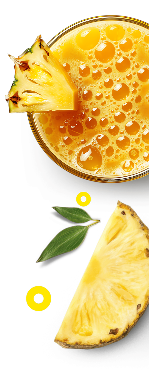 High-Quality Fermented Beverage Bases for Beverage Brands | Good ...