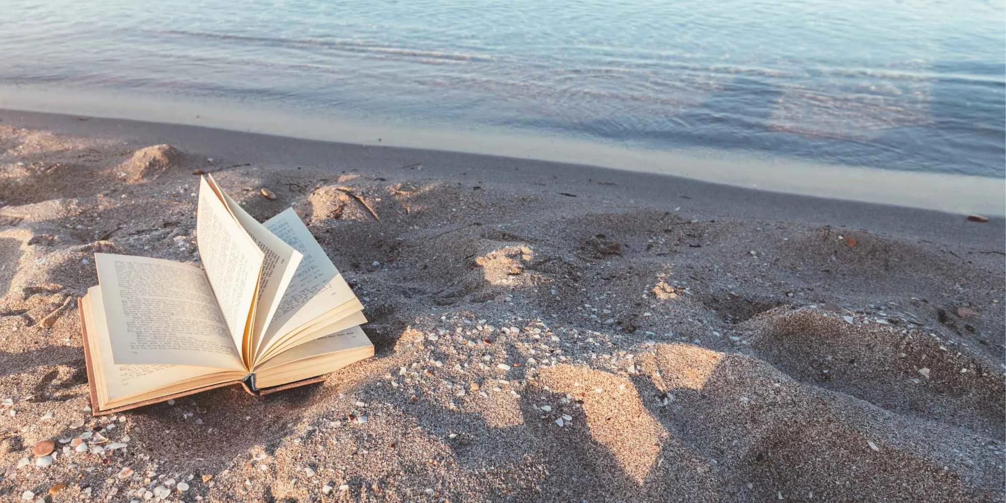 The Hearth — Book Coaching, Editing & Publishing Services