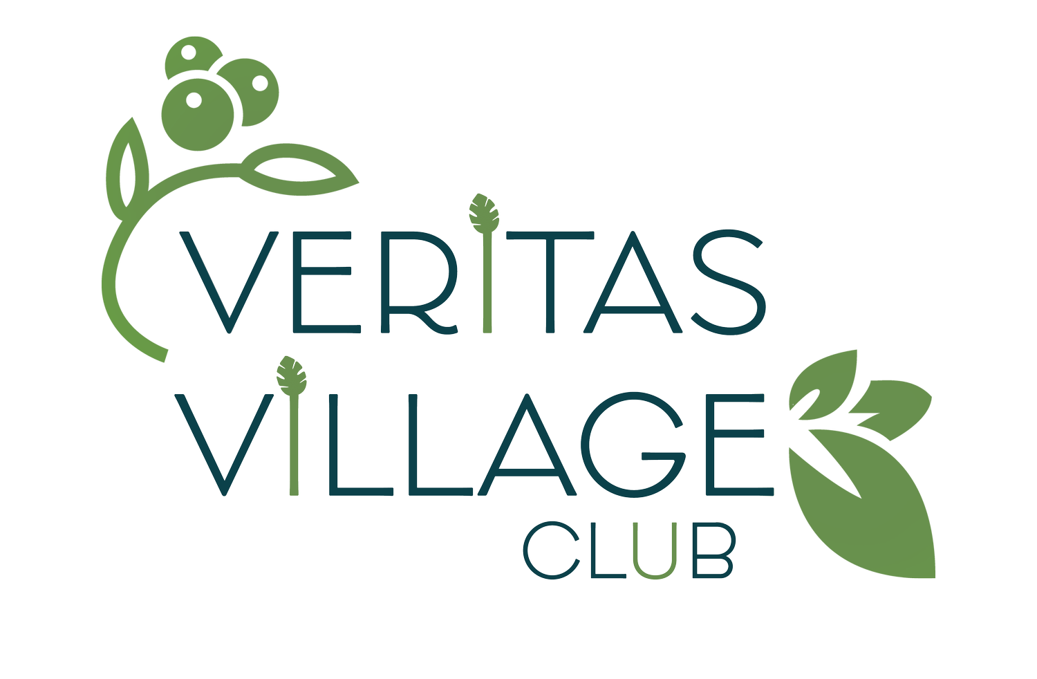 Veritas Village Club | Owner Perks and Shared Benefits
