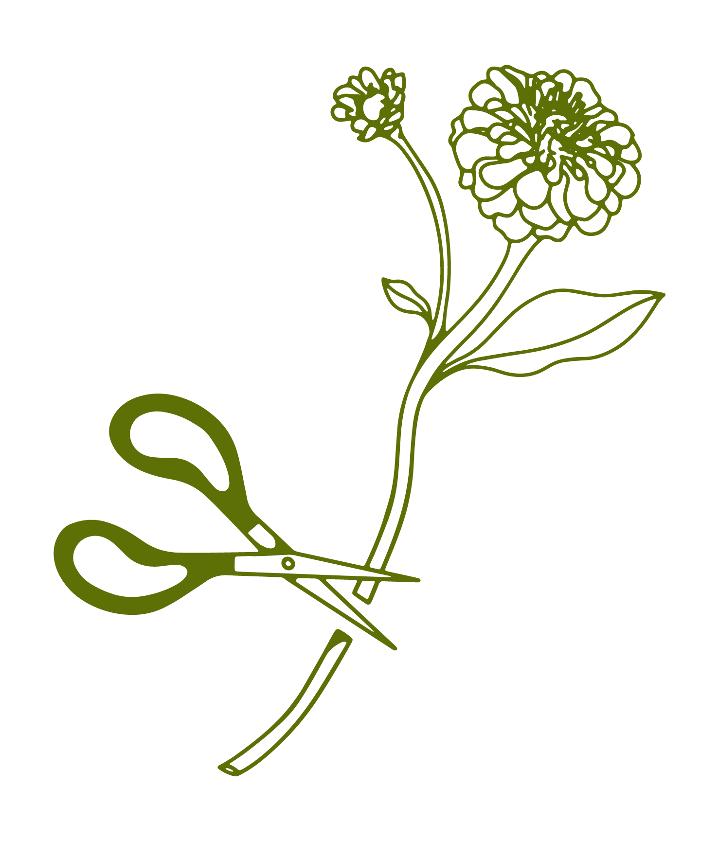 AVAILABILITY GUIDE | Explore Fresh Flower Availability — SEATTLE ...