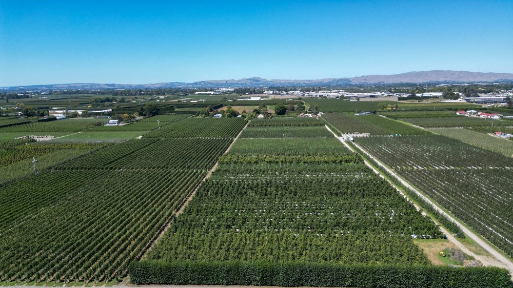 Uniting Our Premium New Zealand Fruit Brands — Consolidated Fruits
