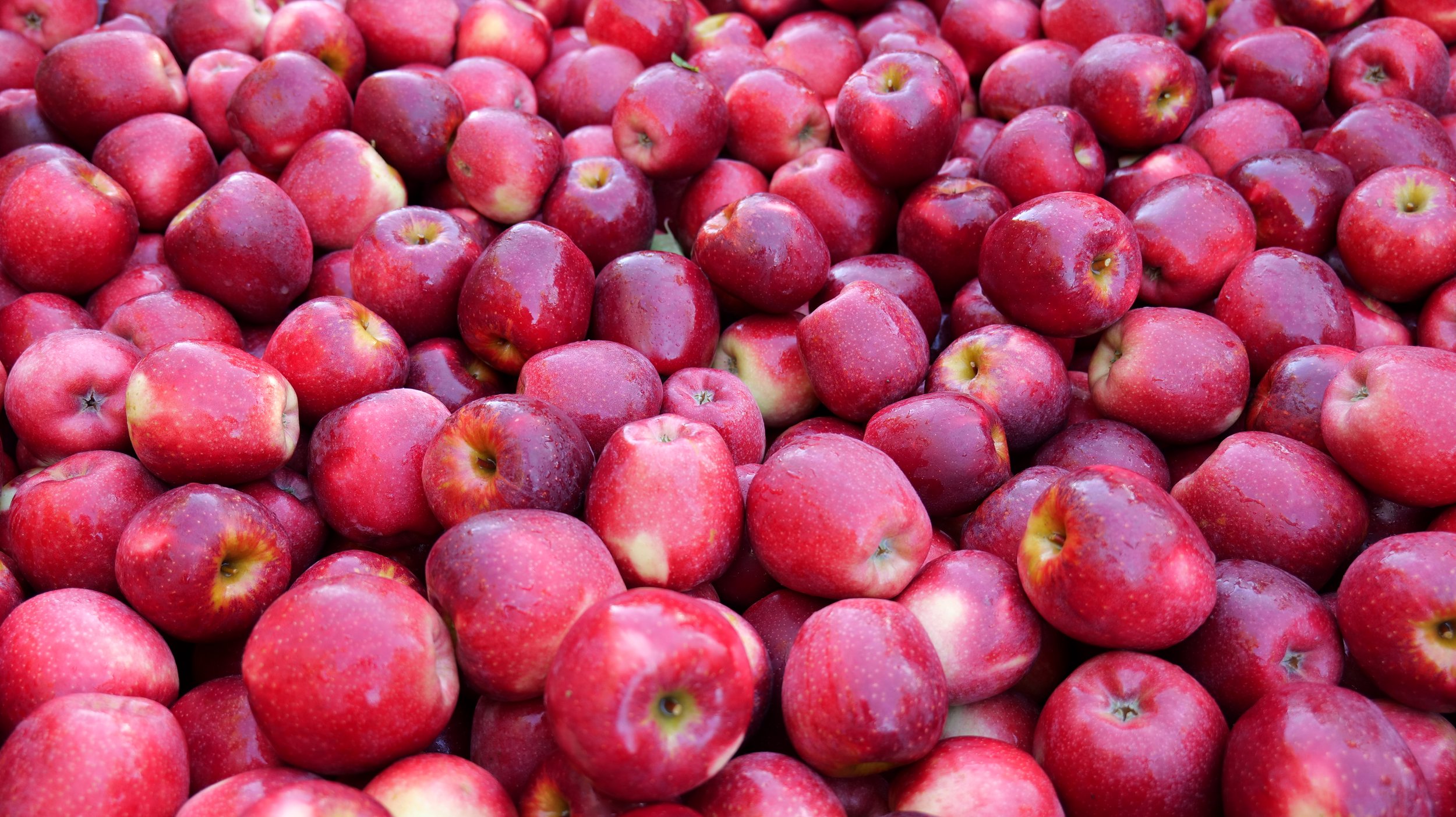 Discover Premium New Zealand Apples and Pears — Kiwi Crunch