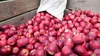 About Us | Premium Apples, Pears and Cherries — Kiwi Crunch