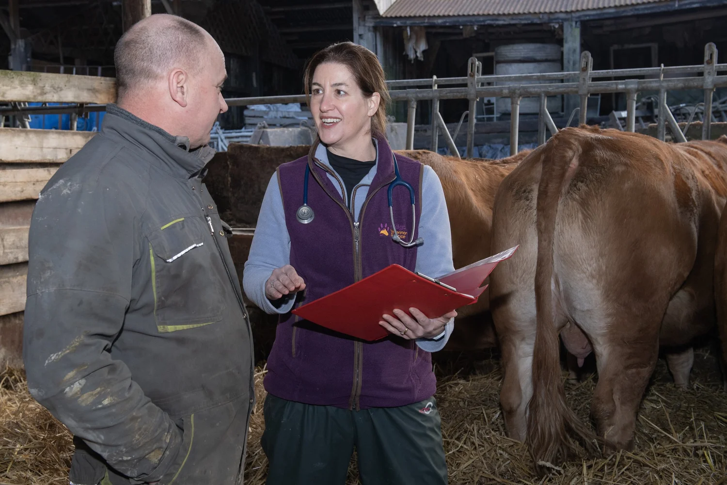 A local independent Vets dedicated to caring for farm animals & horses ...