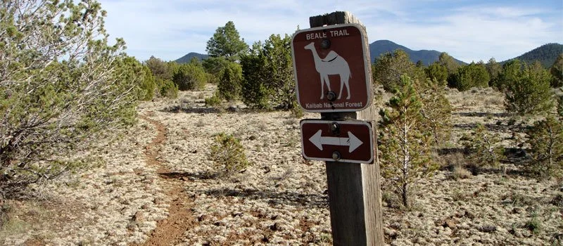 Ash Fork, Arizona: Route 66 History, Small-Town Charm & Hidden Gems ...