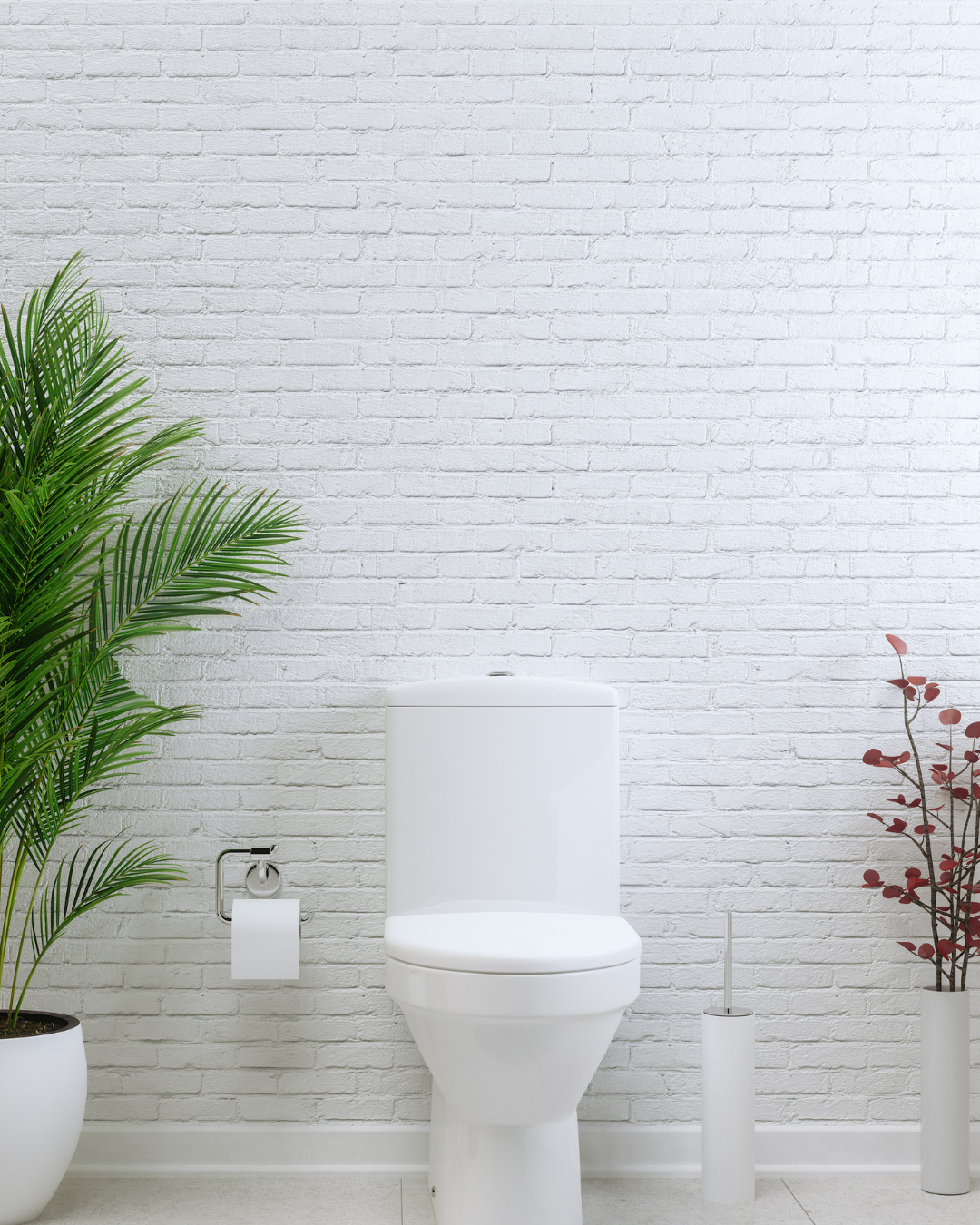 Toilet Anxiety Explained: Fear of Pooping Your Pants & How to Overcome ...