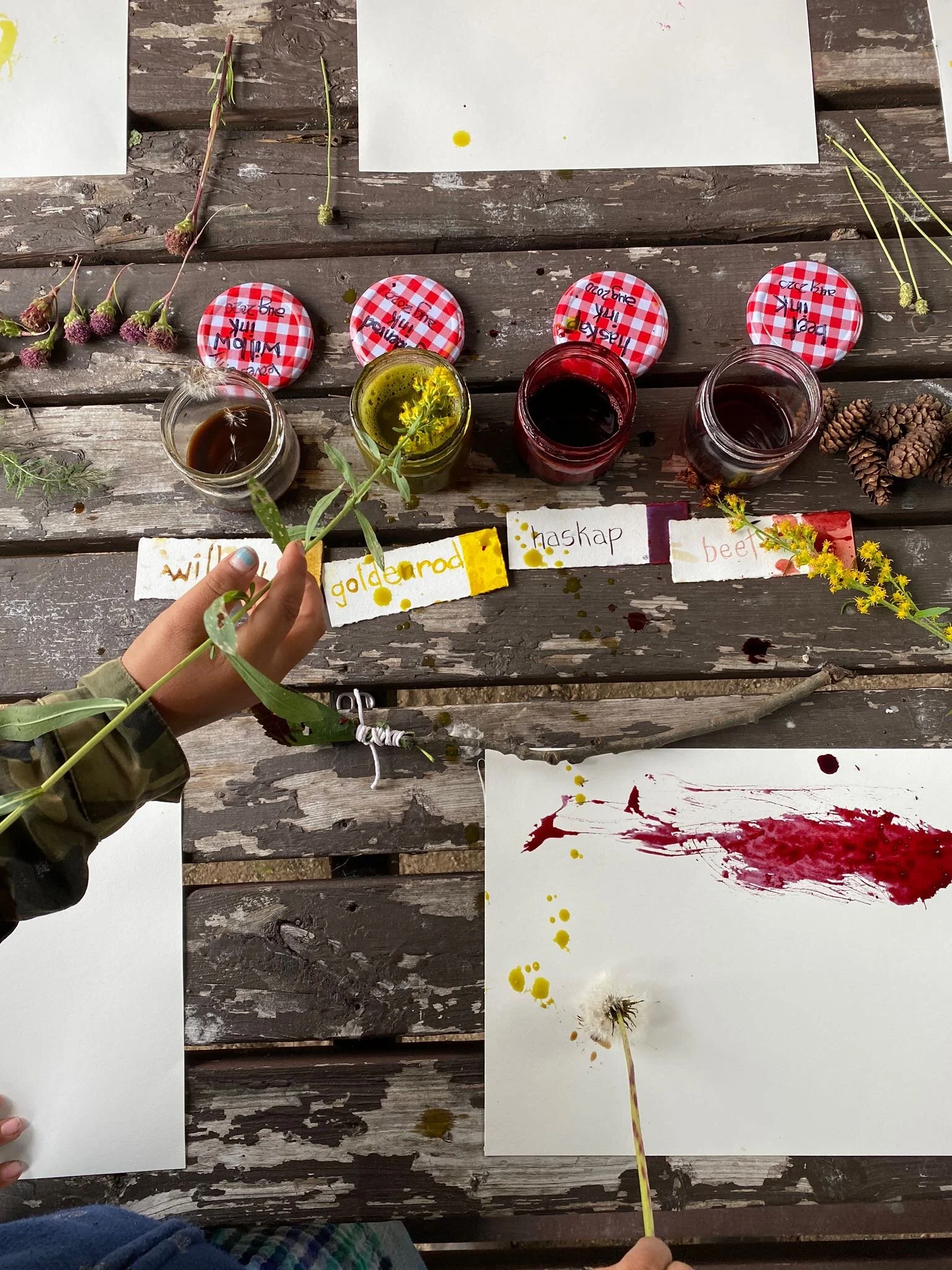 Wild Sky Adventure Learning