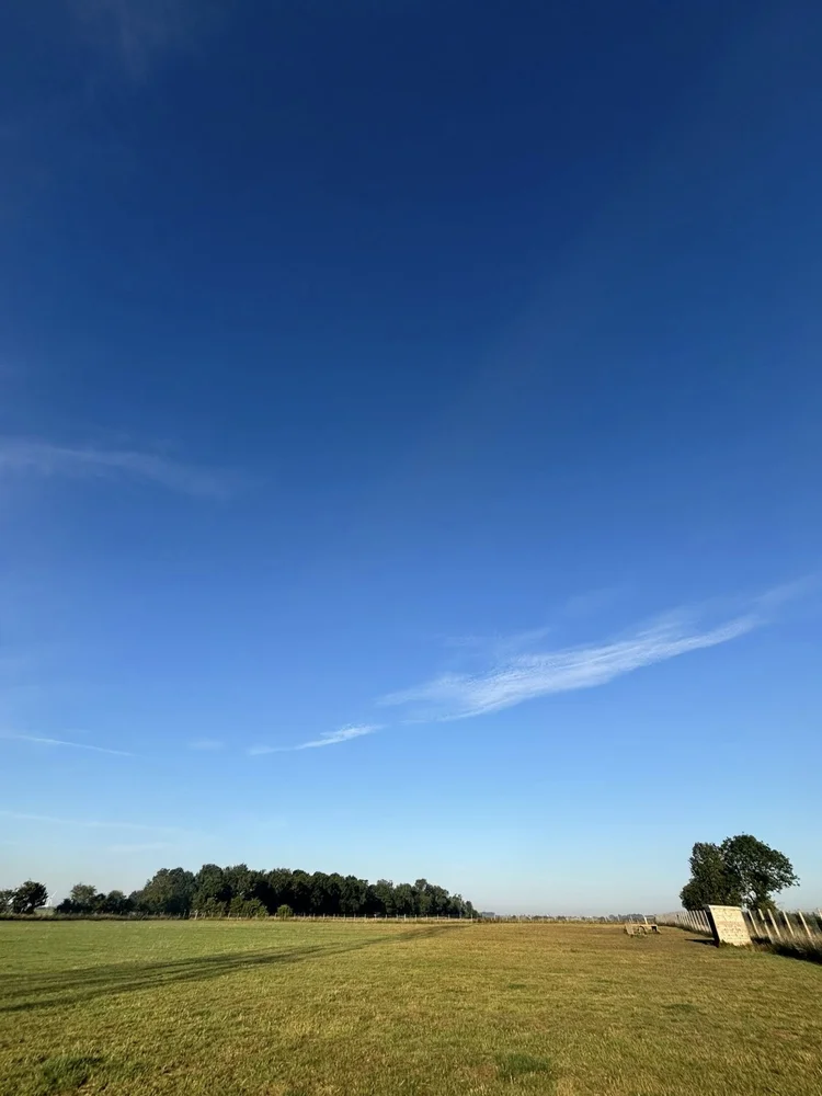 Preston Filed's Secure Dog Walking Field | Book Safe Dog Fields