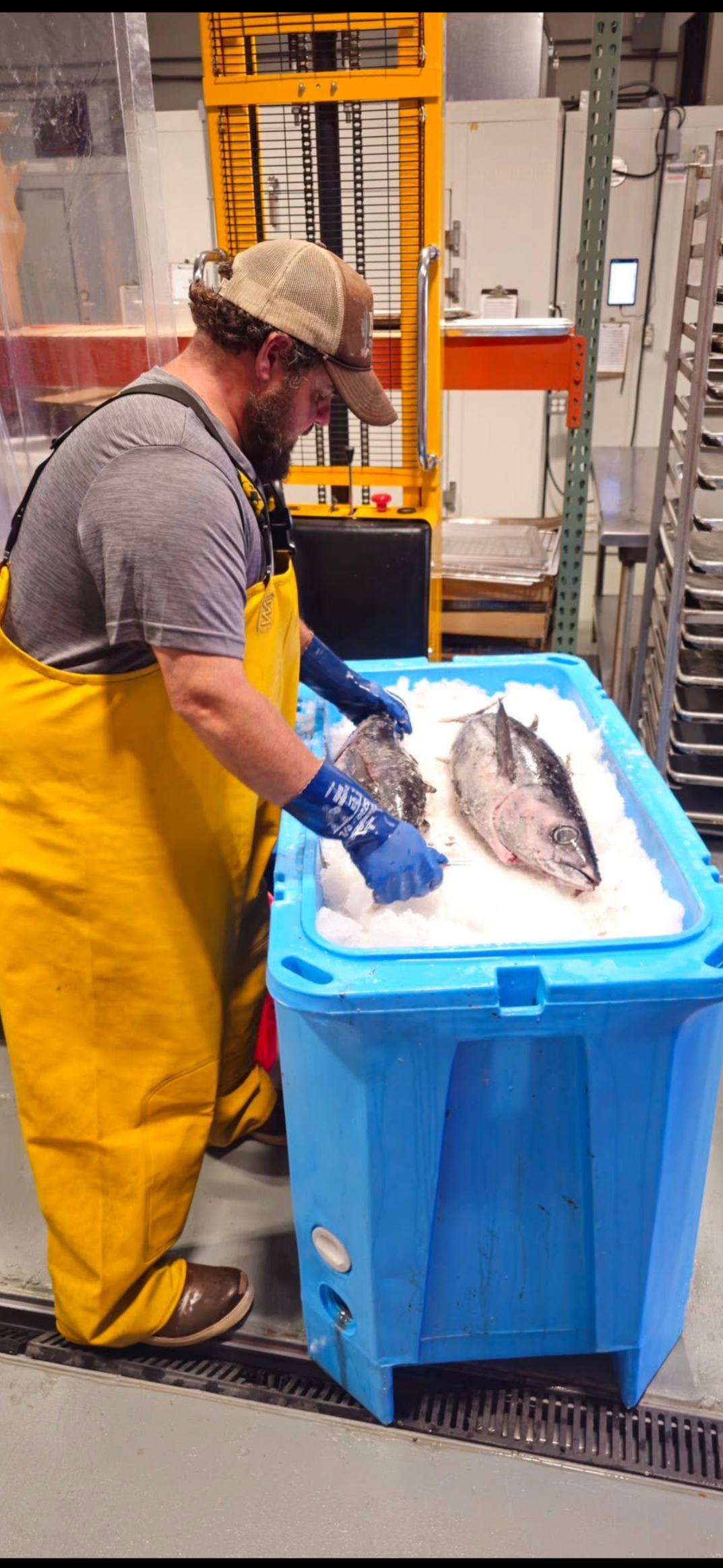 F/V Miss Yvonne, Online Seafood Market