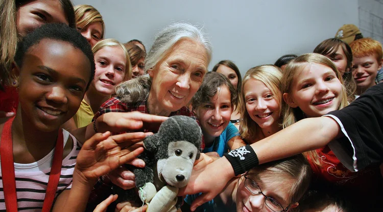 Meet Jane | Learn, Act, Make a Difference | Jane Goodall Institute UK