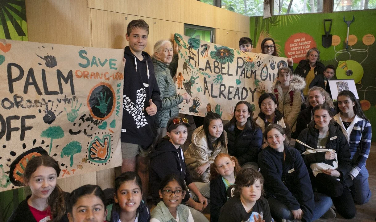 Roots Shoots Inspire Youth Action Today Jane Goodall Institute Uk