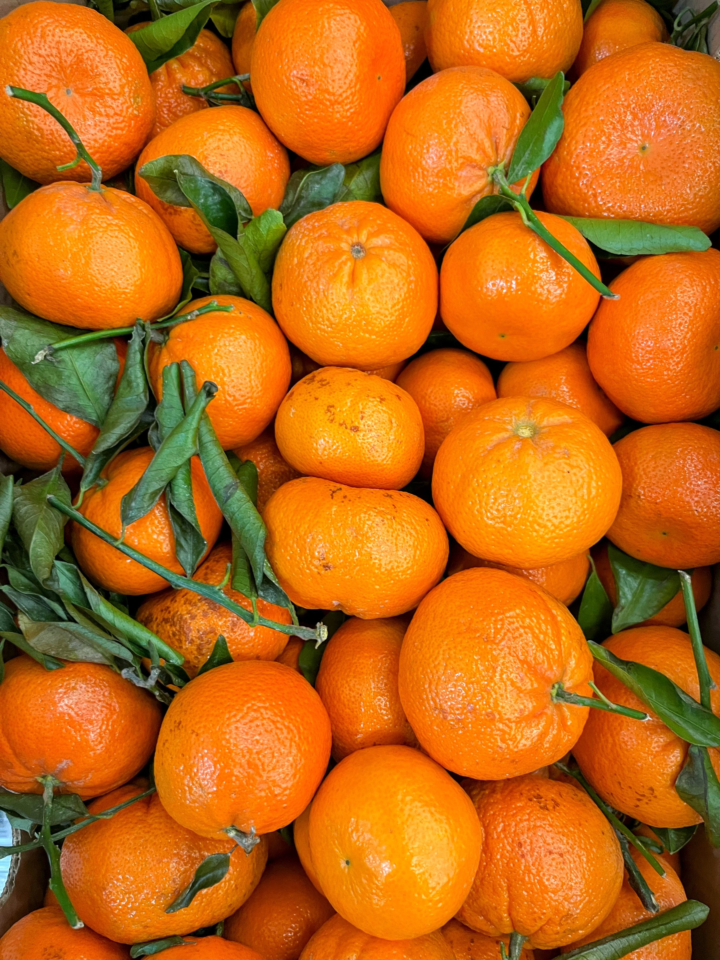 Vancouver Food Recovery Network