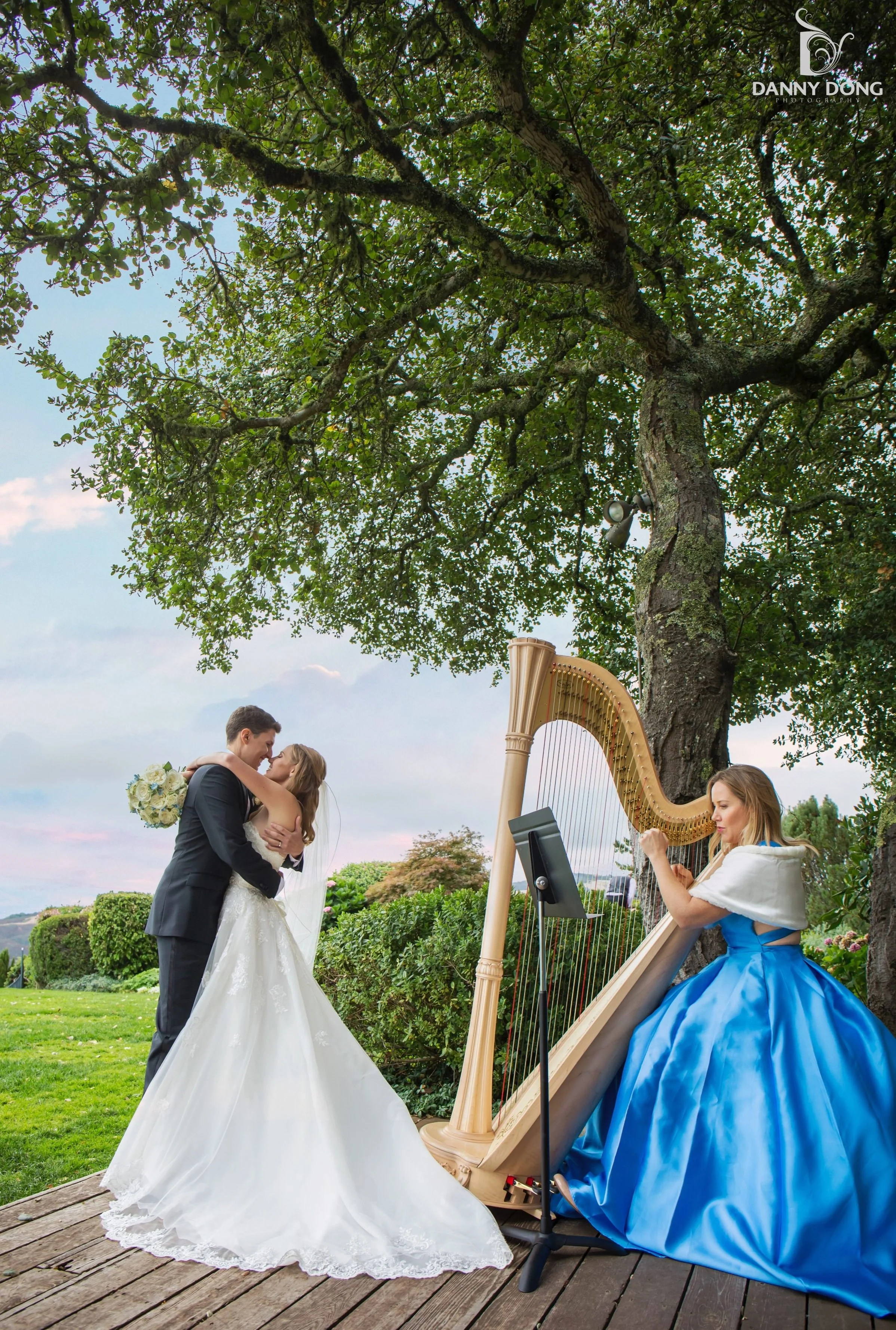 Live Luxury Harp Music for Weddings & Events — Erica Messer