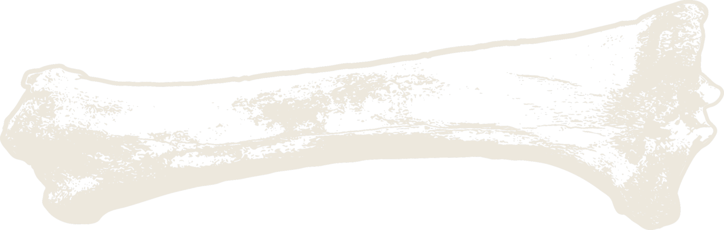 Marrow In The Market