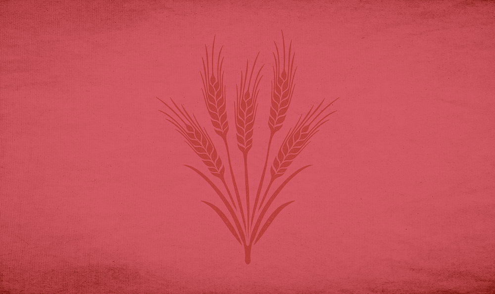 The Wild Grain