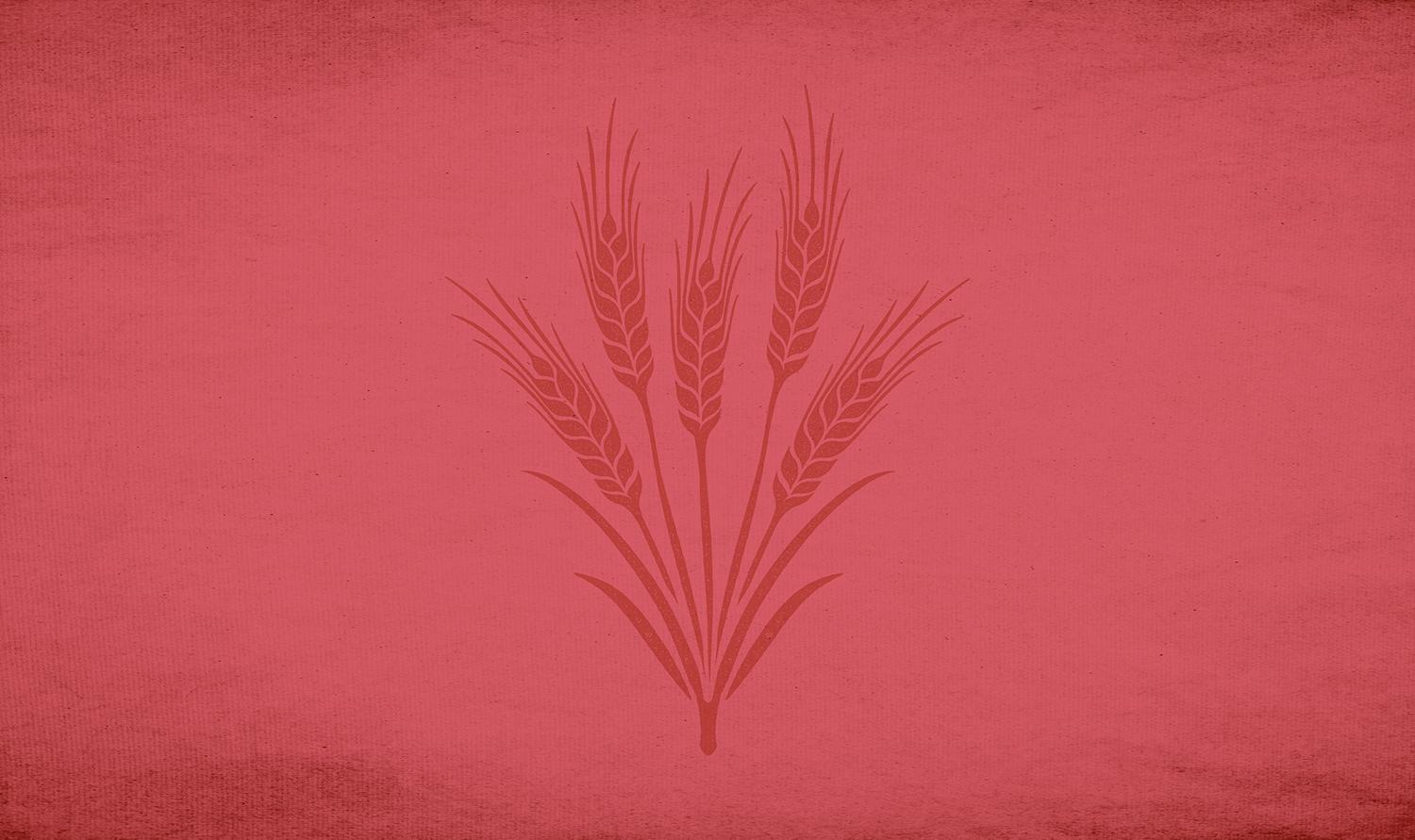 The Wild Grain