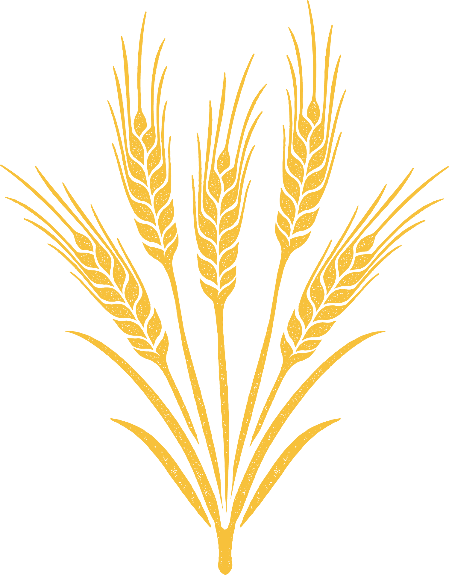 The Wild Grain