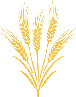 The Wild Grain