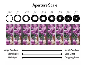 What Is Aperture In Photography? (revisited) — Rick McEvoy Photography