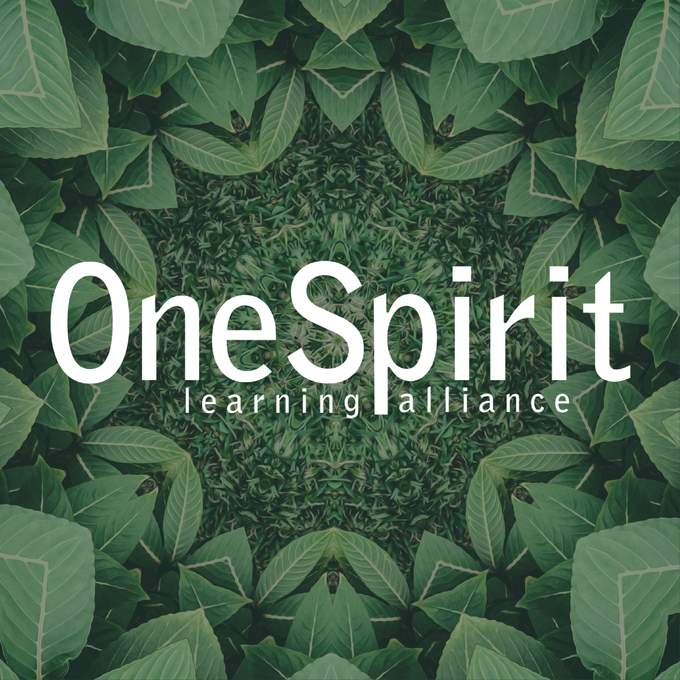 One Spirit | Join Spiritual Learning Today