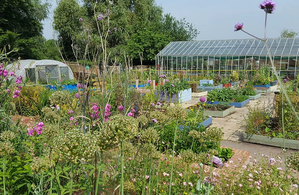 Thrive, Reading | Therapeutic Horticulture for Health & Wellbeing ...