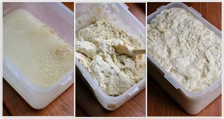 Amazing Artisan Bread for 40 Cents a Loaf - No Kneading, No Fussing, No ...