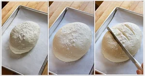 Amazing Artisan Bread for 40 Cents a Loaf - No Kneading, No Fussing, No ...