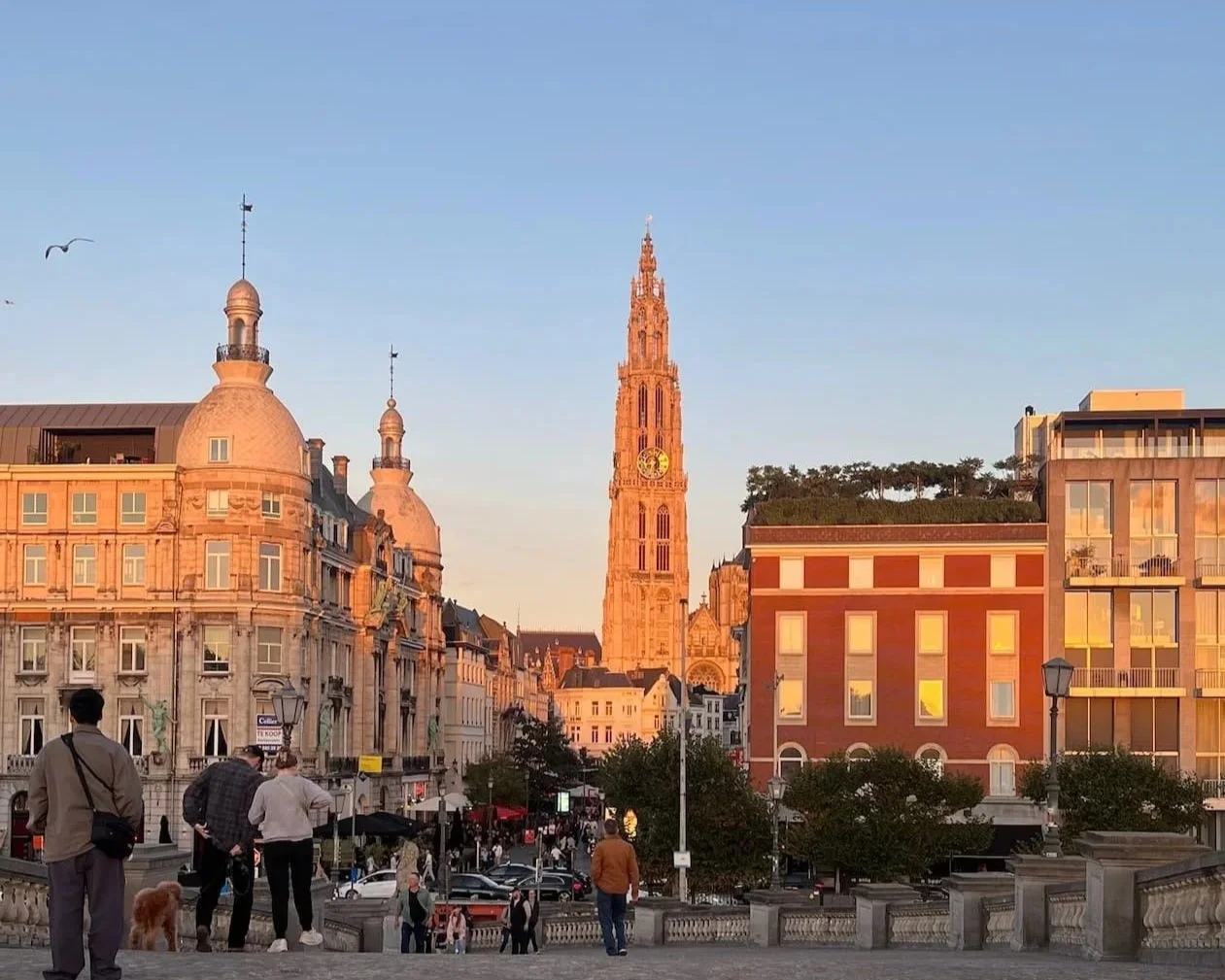 Is Antwerp Worth Visiting? 9 Reasons to Visit — Notes From Europe ...