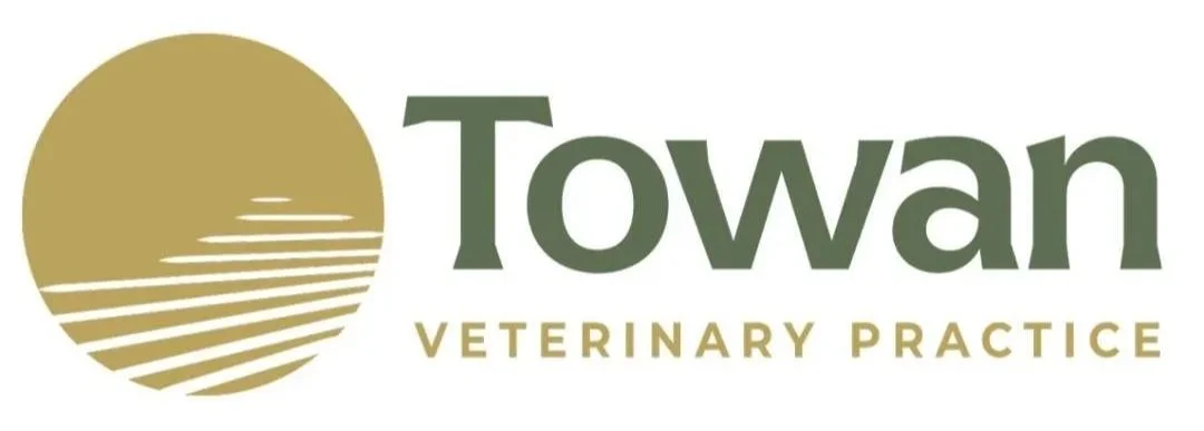 Our Team | Meet the Experts | Independent | Equine Vets | West Cornwall ...