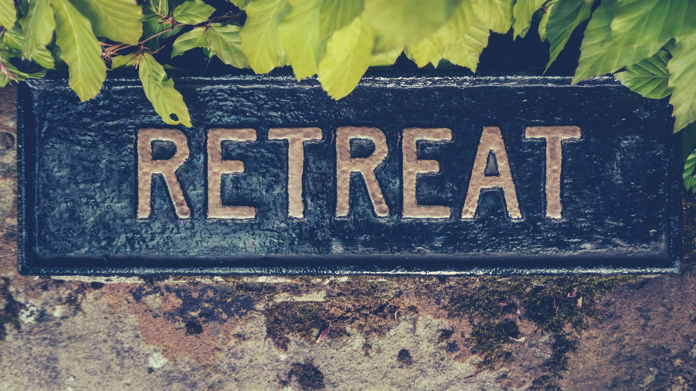 Corporate Retreat Planning Guide: How to Plan a Successful Retreat ...